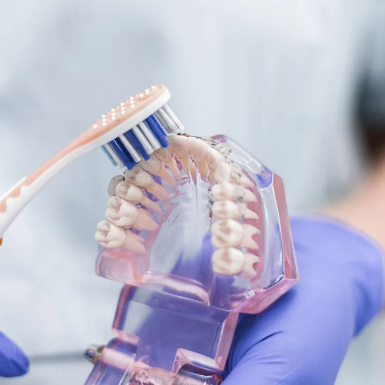 Brushing Up: Tips and Techniques for Proper Toothbrushing – Snaptoothbrush